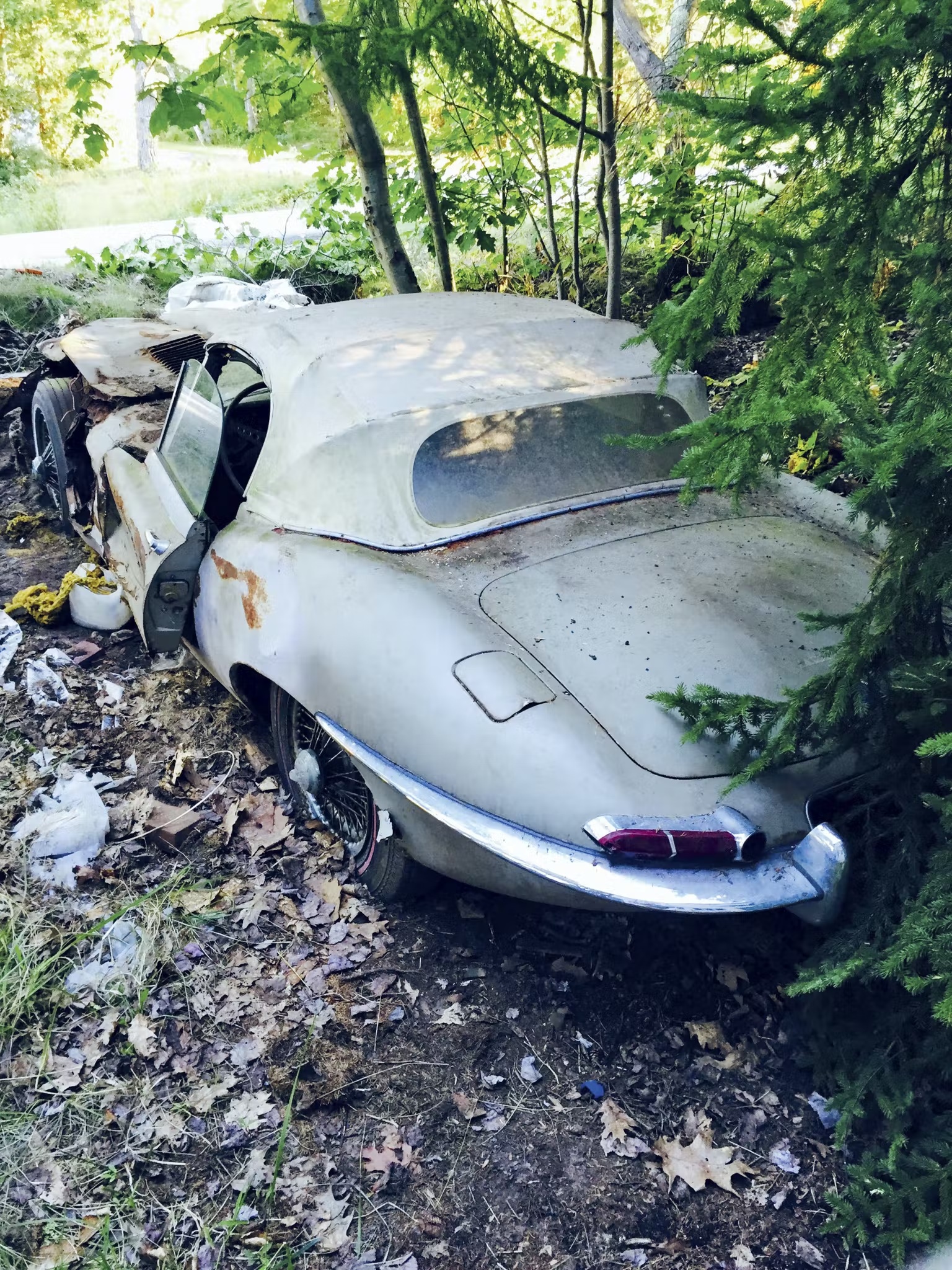 Tom Cotter: The master of barn-find hunting reveals the secrets to ...