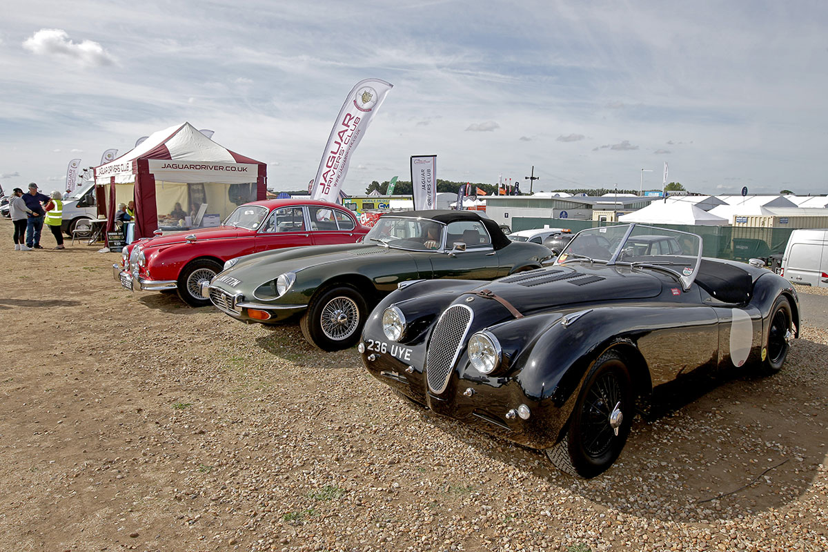 Join the Club: Jaguar Drivers' Club | Hagerty UK
