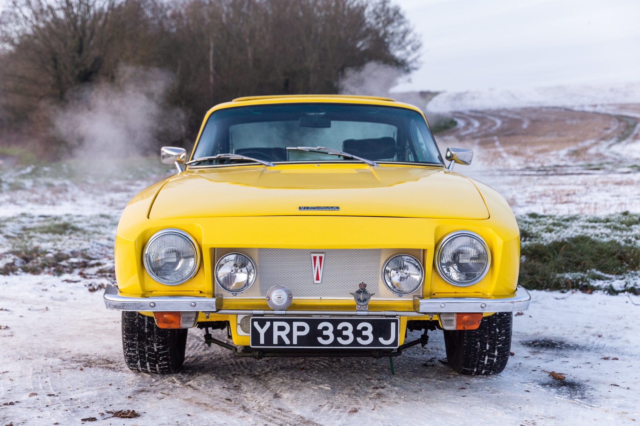 Ace Venturer: the Trident sports car that could have been a TVR ...