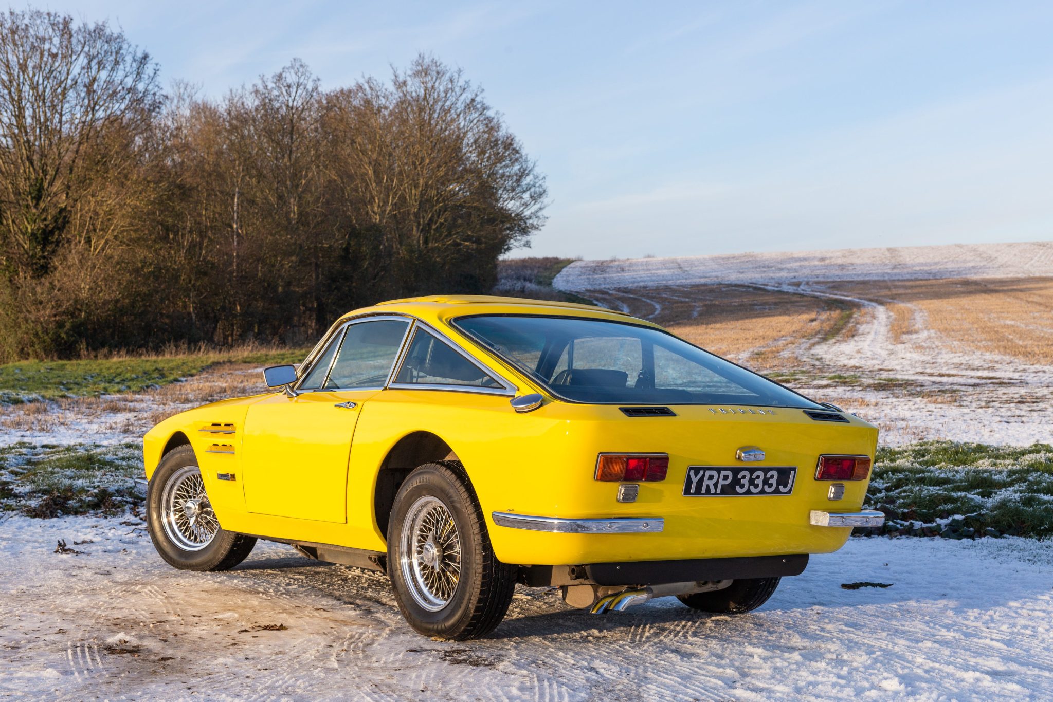 Ace Venturer: the Trident sports car that could have been a TVR ...