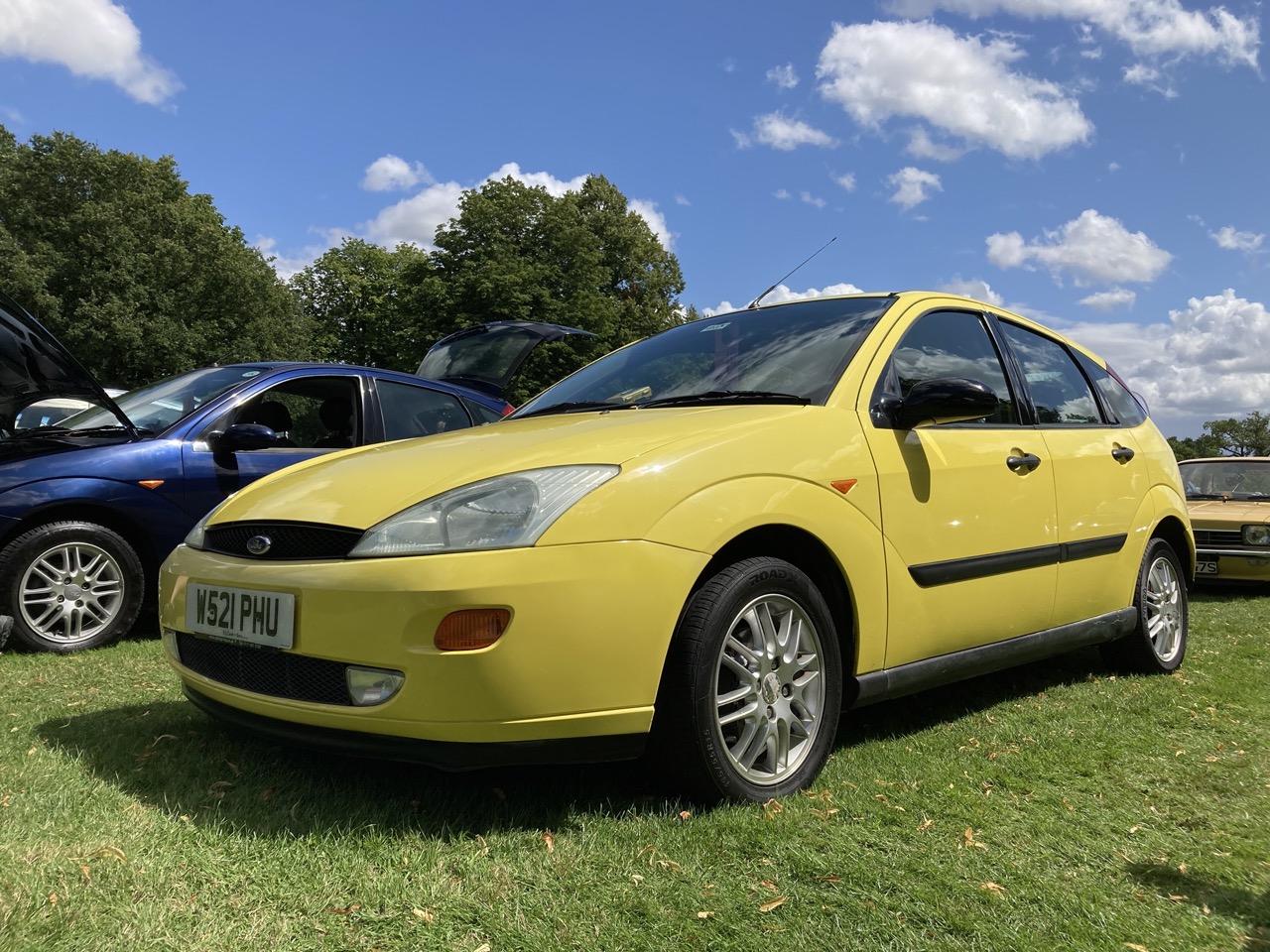Sunny Side Up: The canary, lemon, and sunflower stars of 2023’s ...