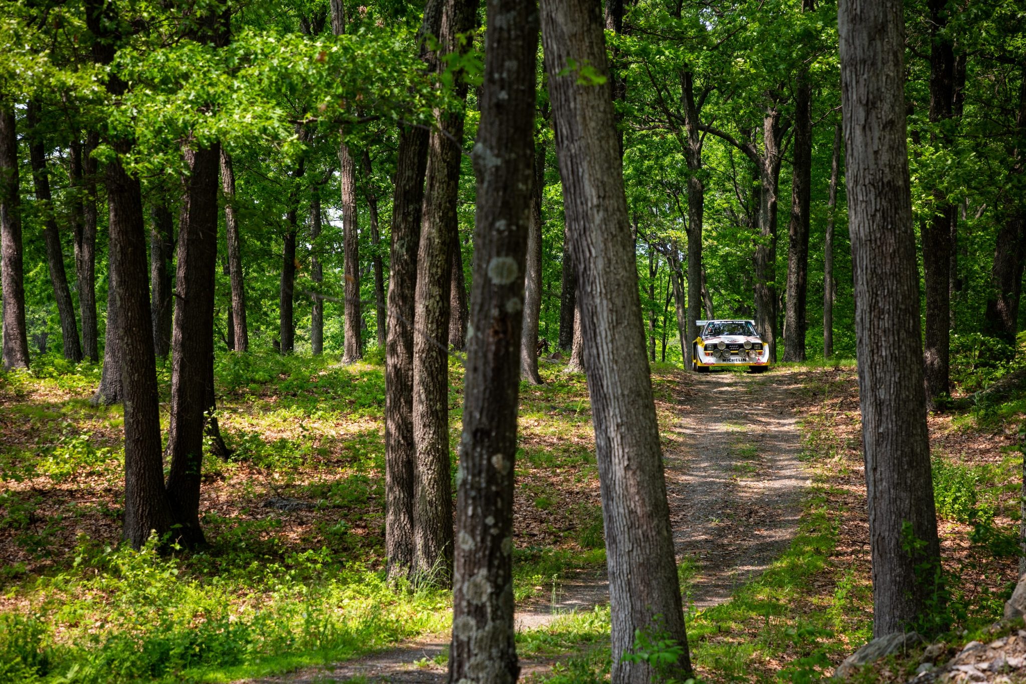 Driving the rally stars that define the sport’s wildest era | Hagerty UK