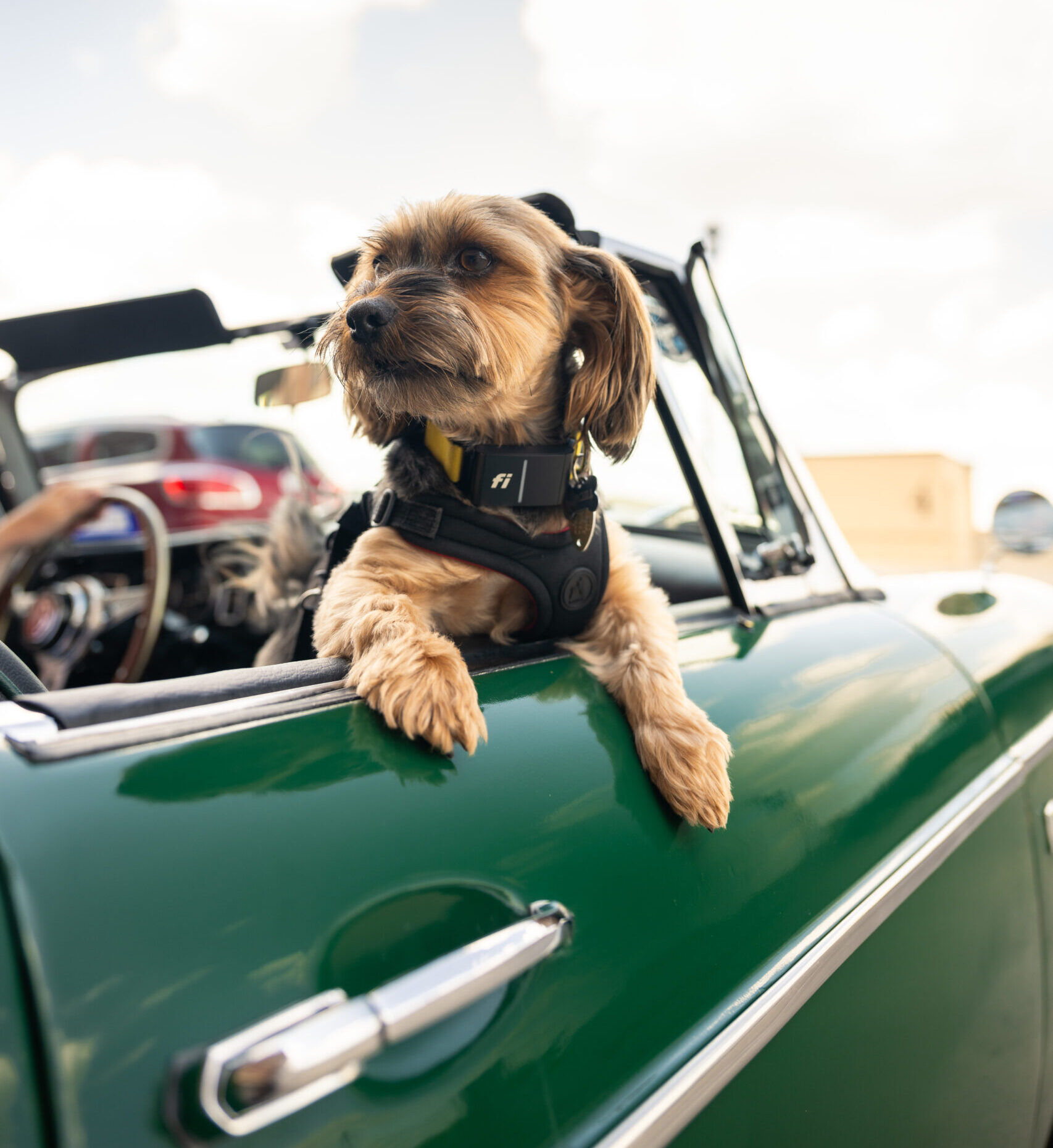 I breathed life anew into my 1970 MGB thanks to hard work – and rattle ...